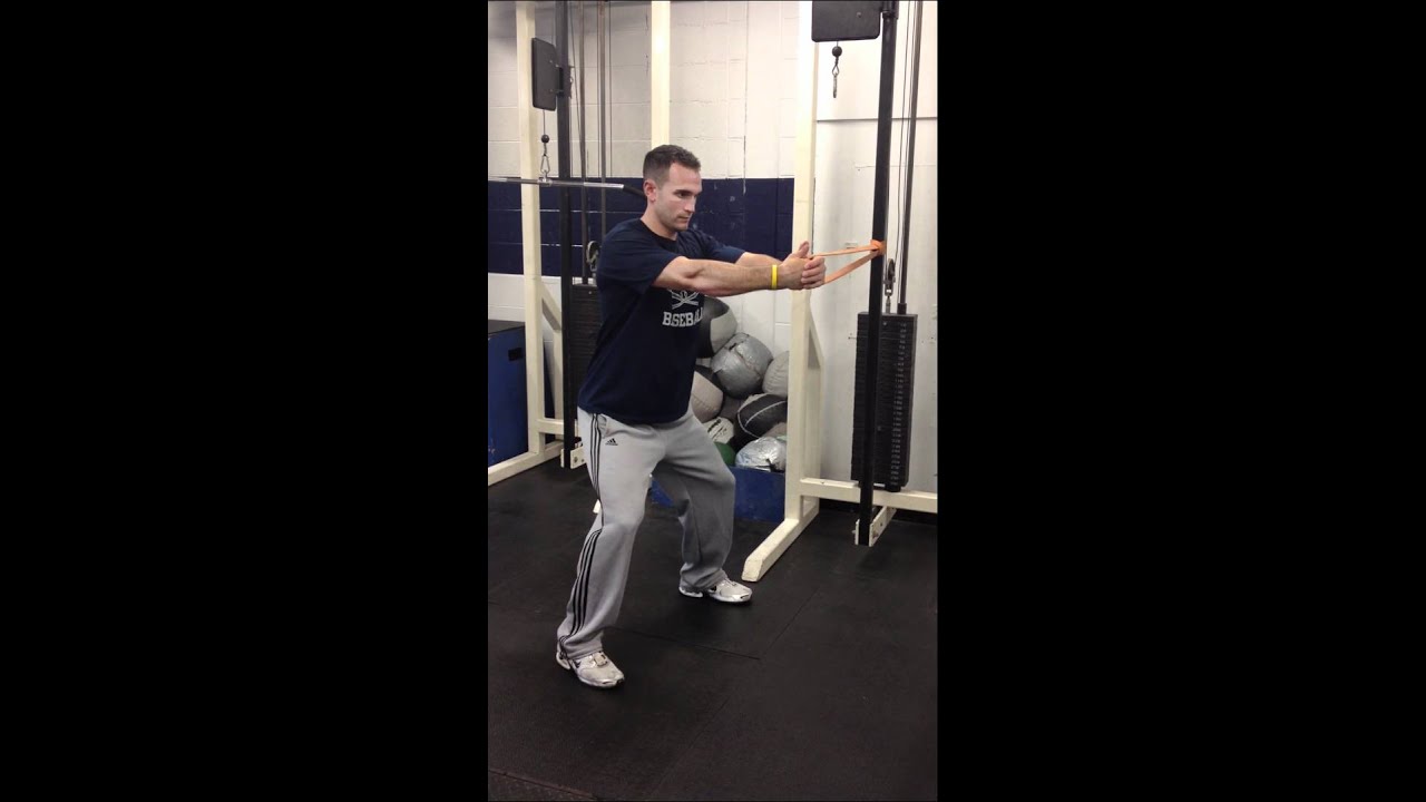 Pallof Press Isometric Hold.MOV - YouTube