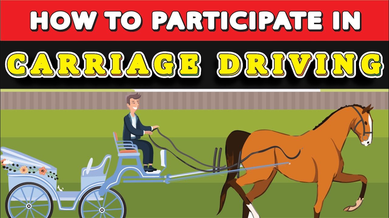 How To Play Carriage Driving? (a sport that involves horses or ponies ...