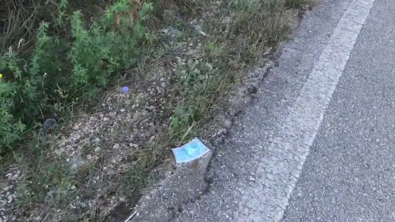 ΜΑΣΚΕΣ ΣΚΟΥΠΙΔΙΑ ΔΕΞΙΑ ΚΑΙ ΑΡΙΣΤΕΡΑ ΤΟΥ ΔΡΟΜΟΥ ΠΡΟΣ ΤΟ ΜΠΟΔΟΣΑΚΕΙΟ ...