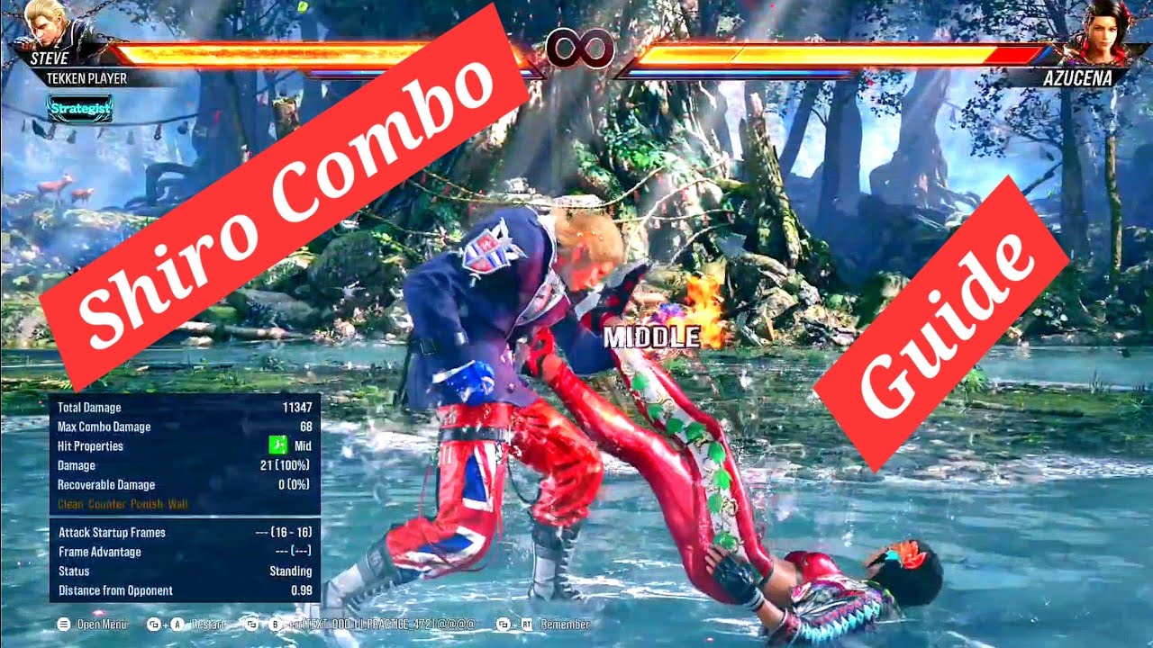 Steve Fox Shiro combo step by step guide | Tekken 8 | - YouTube