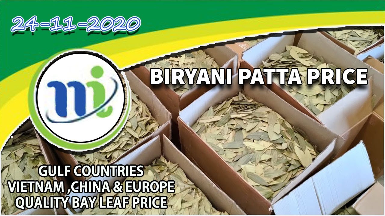 bay leaf suppliers in india | biryani patta price | biryani patta price ...