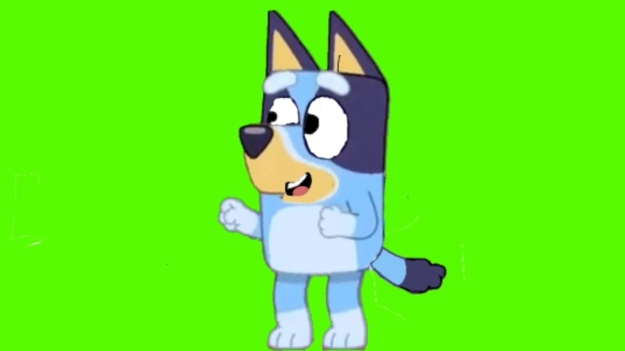 Bluey Laughing green screen - YouTube
