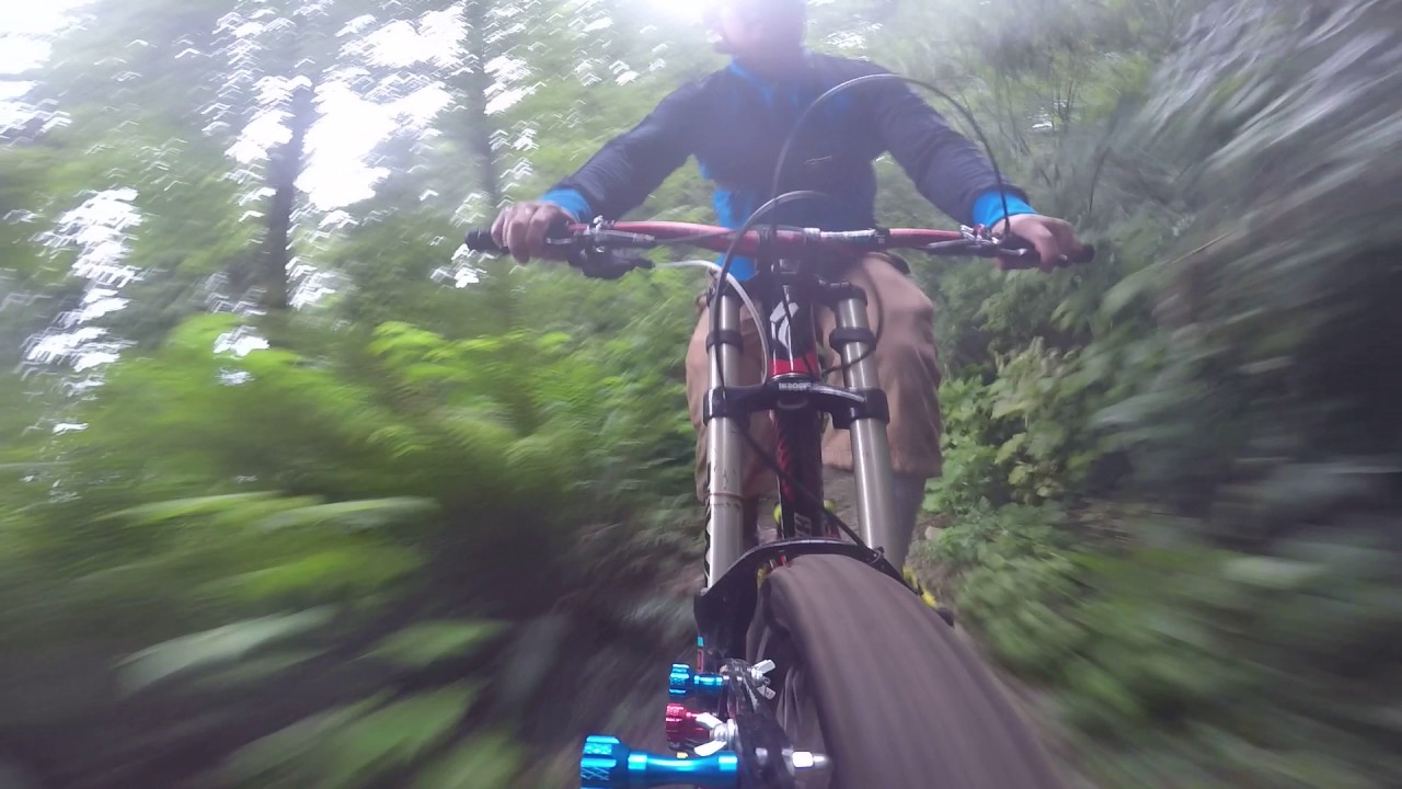 SFU Mountain Biking: Poplar and Nicole's Trails, July 22, 2017 - YouTube