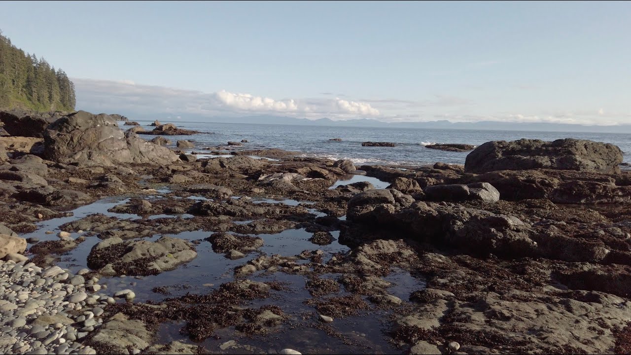 Sombrio Beach, Vancouver Island. Camping Trip. July 2020 - YouTube