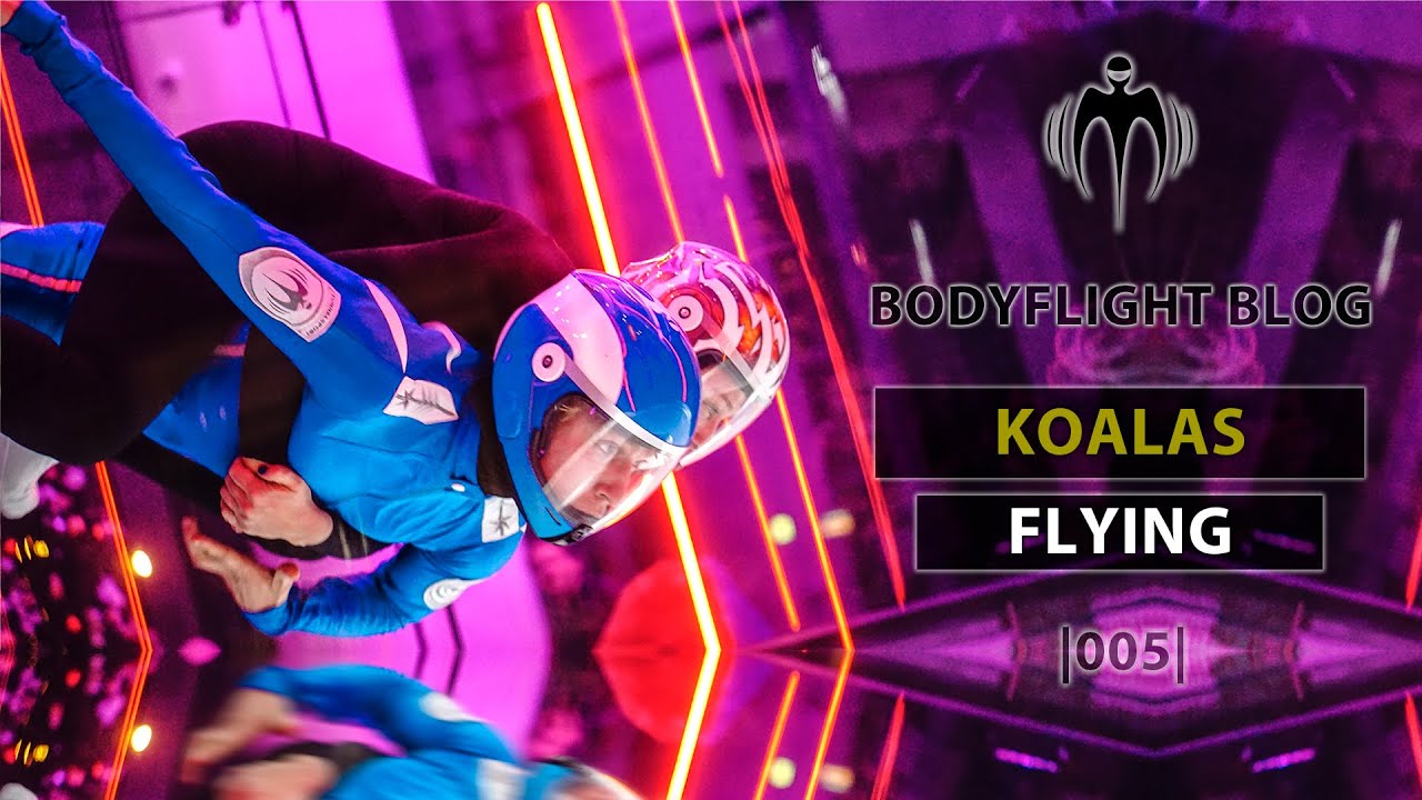 Koalas flying | Bodyflight blog | 005 (Leo Volkov) - YouTube
