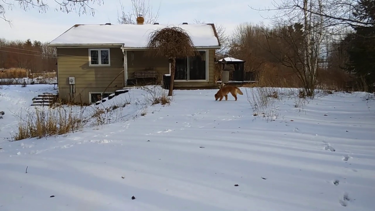 Dec 8, 2019 - YouTube