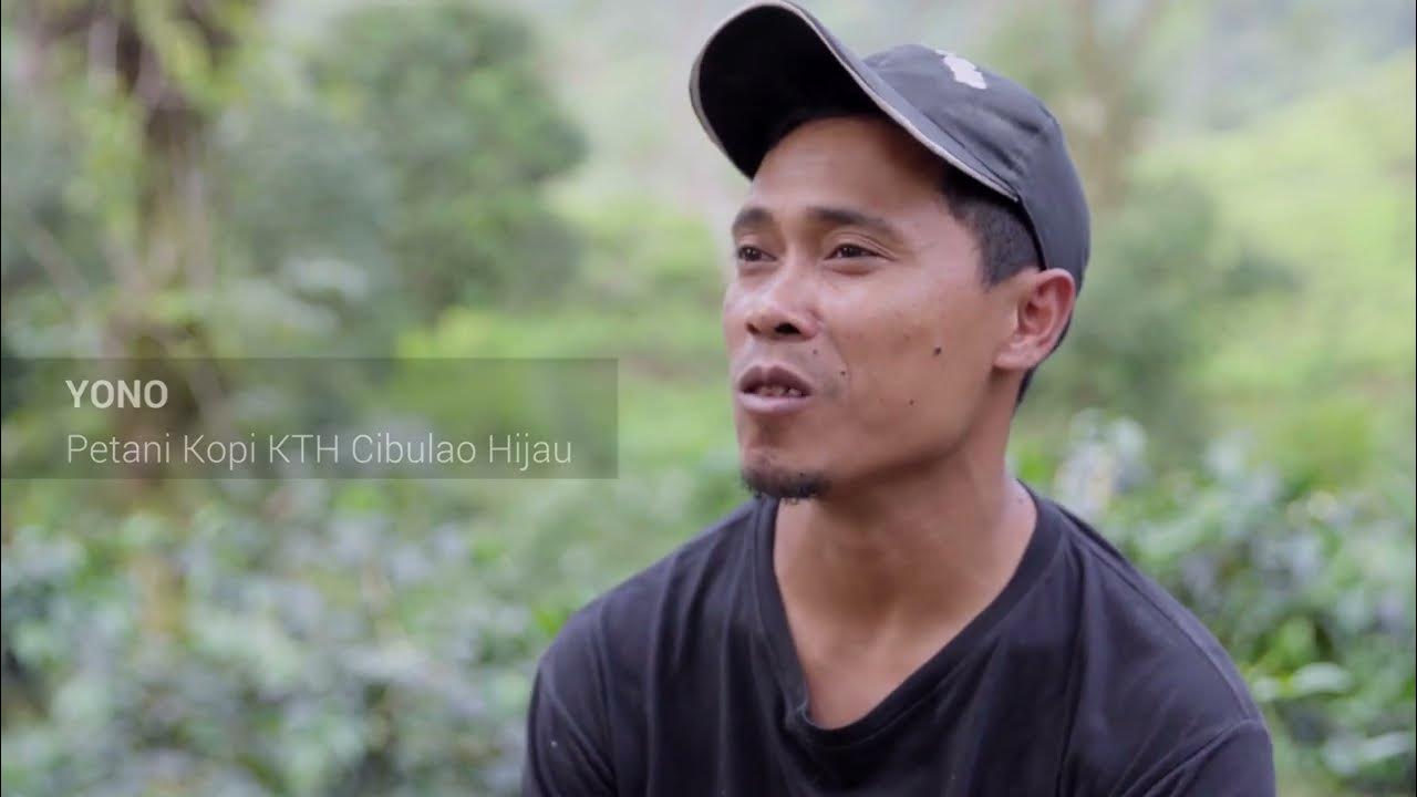 P4W dampingi Kelompok Tani Hutan (KTH) Cibulao dalam mengembangkan Kopi Cibulao - YouTube