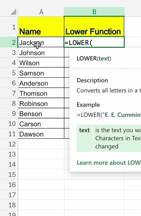Excel LOWER Function | Convert Text Into Lowercase | Lower() Excel #lowercase #exceltips # ...