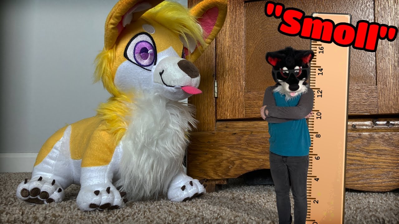 Life of a short furry - YouTube