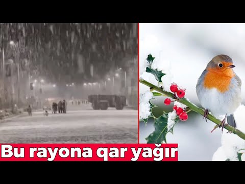 Kəlbəcərə güclü qar yağır