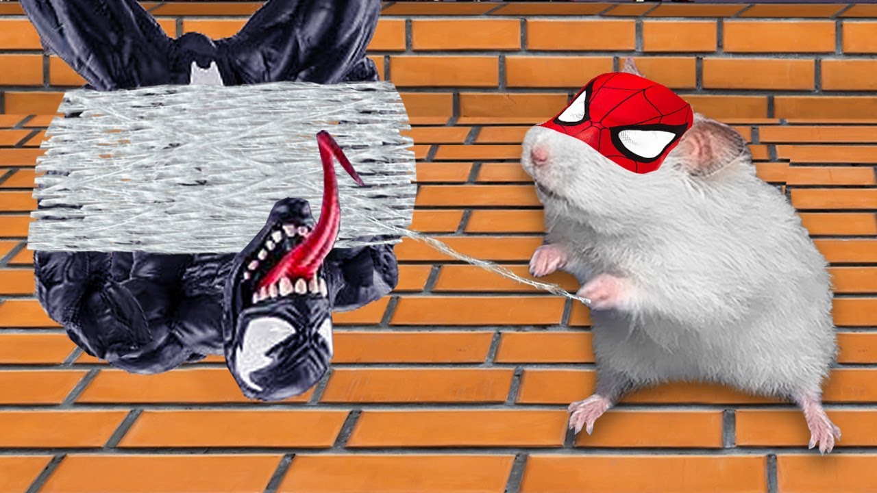 DIY Spider-Man Hamster Maze | Spider-Hamster vs Green Goblin, Venom and Lizard - YouTube