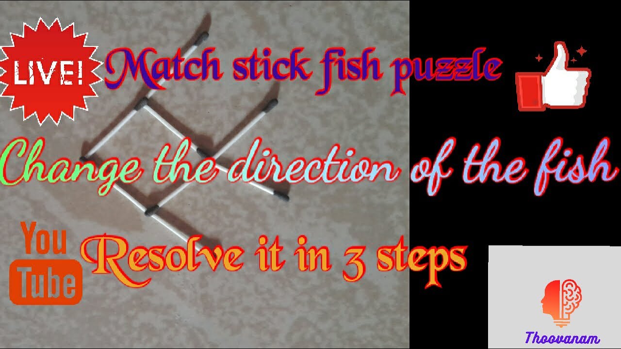 Thoovanam| Match stick puzzle - Change direction of fish # Brain ...