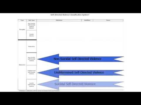 Self-Directed Violence Classification System Training - YouTube
