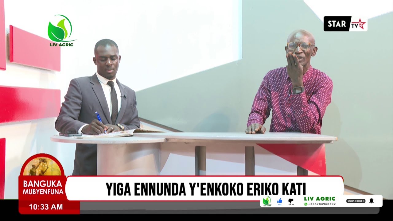 Ebintu Bisaatu Ebilemeseza Abalimi Okulunda Enkoko! Emmeere, Ekiika ...