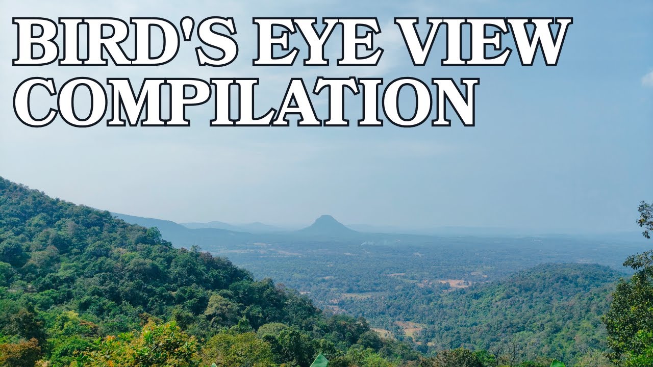 Amazing Birds Eye View | Compilation - YouTube