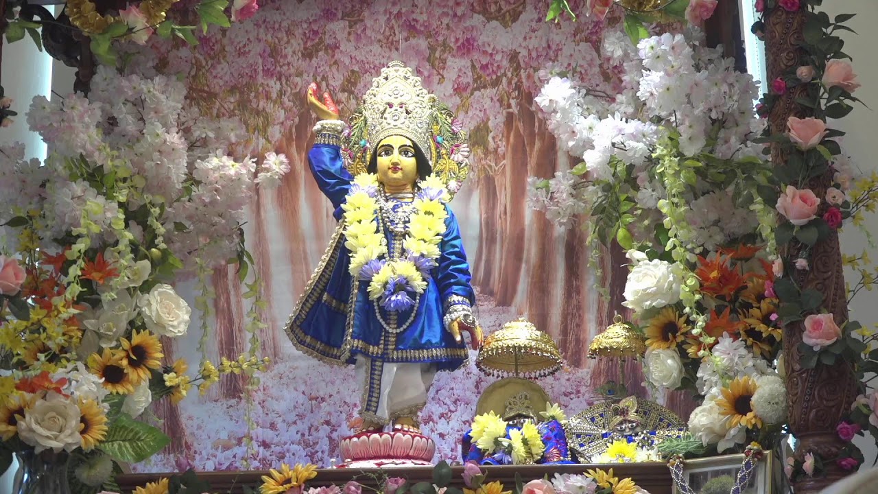 Morning reading with Sachi Devi Dasi - YouTube