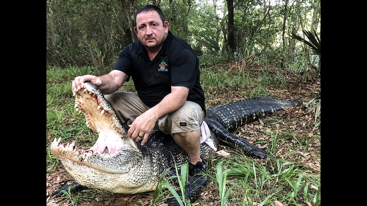 Giant Croc Hunt Documentaries | Animal Planet Philippines - YouTube