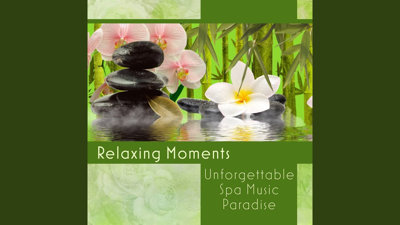 Serenity Zone Of Healing Meditation Music Youtube