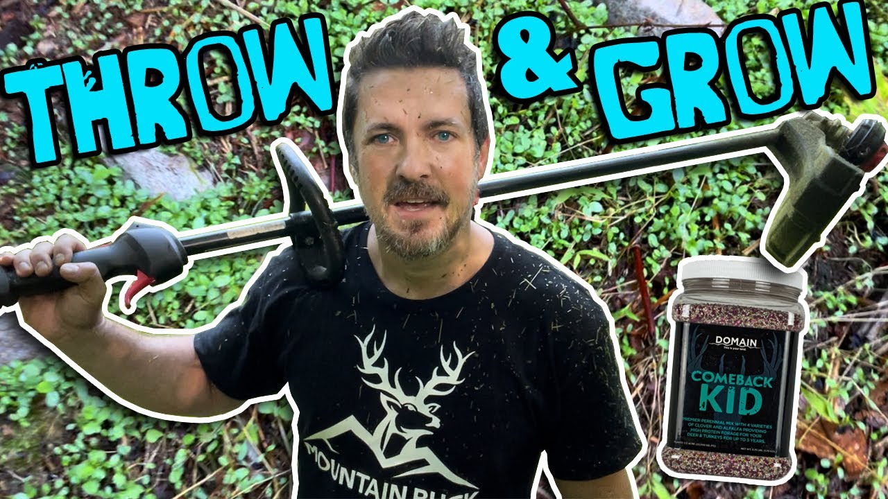 🌿 I used a Weed Wacker for my Throw & Grow Food Plot & This Happened ...