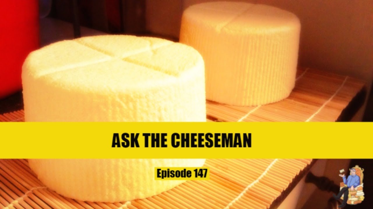 🔴 Ask the Cheeseman #147 - YouTube