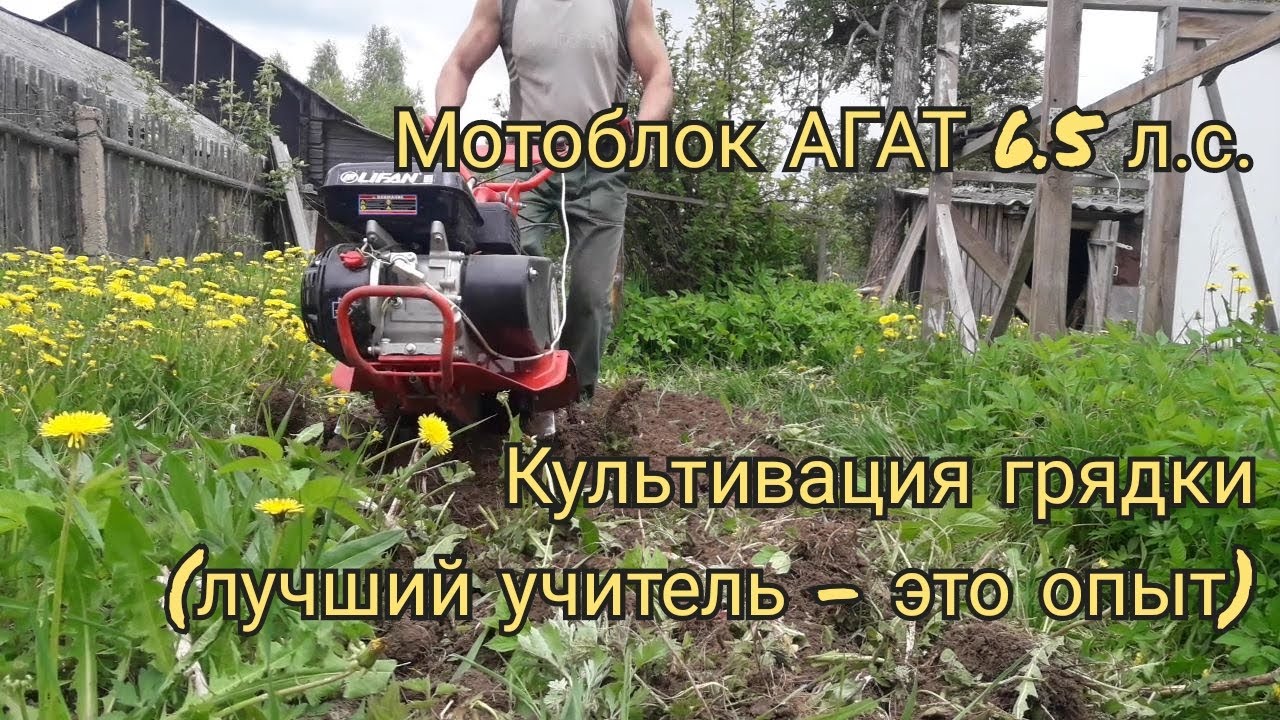 Мотоблок АГАТ: Культивация ГРЯД (лучший учитель - это опыт) - YouTube