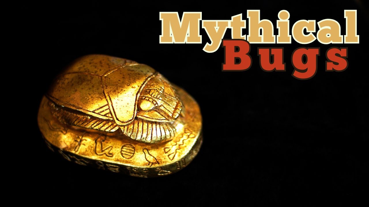 How Certain Insects Became Symbols in Mythology - YouTube