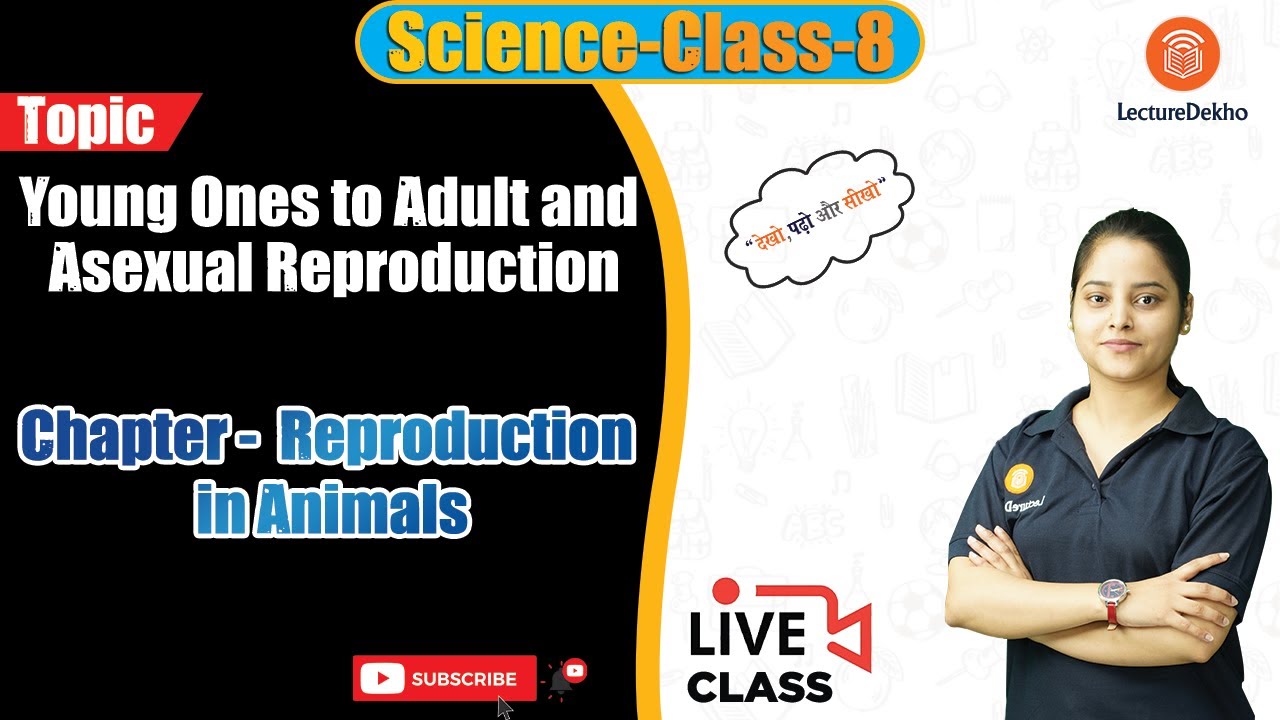 Reproduction in Animals| Topic- Young ones to adult and asexual ...