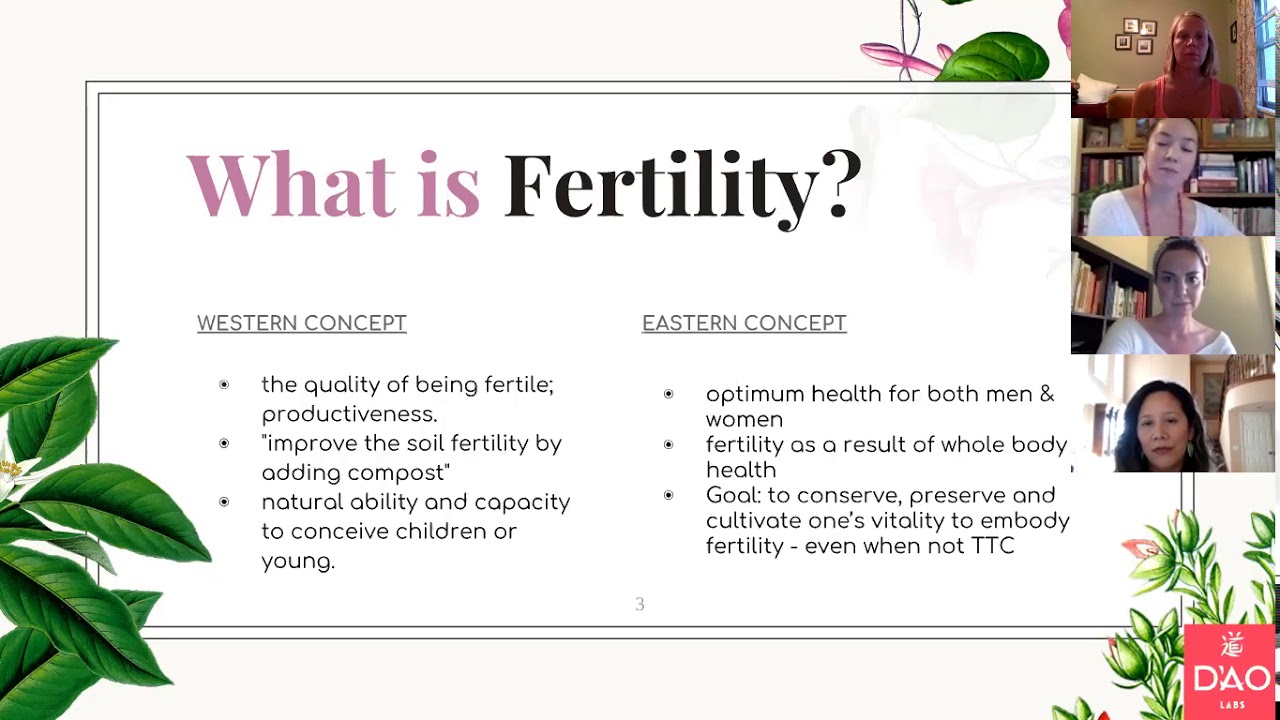 Fertility & Your 4 Phases - YouTube