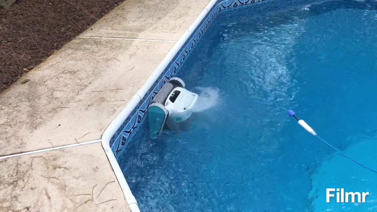 Dolphin Active 30 first impressions - YouTube