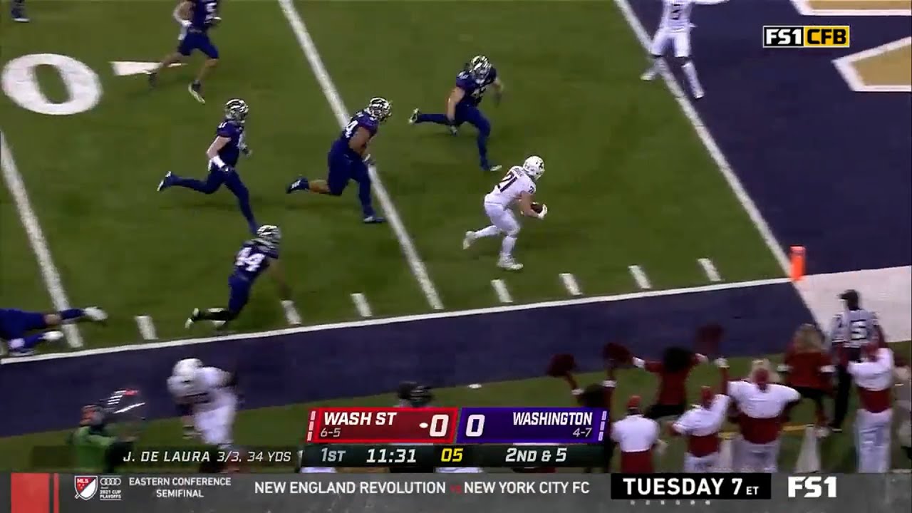 Washington State RB Max Borghi great touchdown run against Washington ...