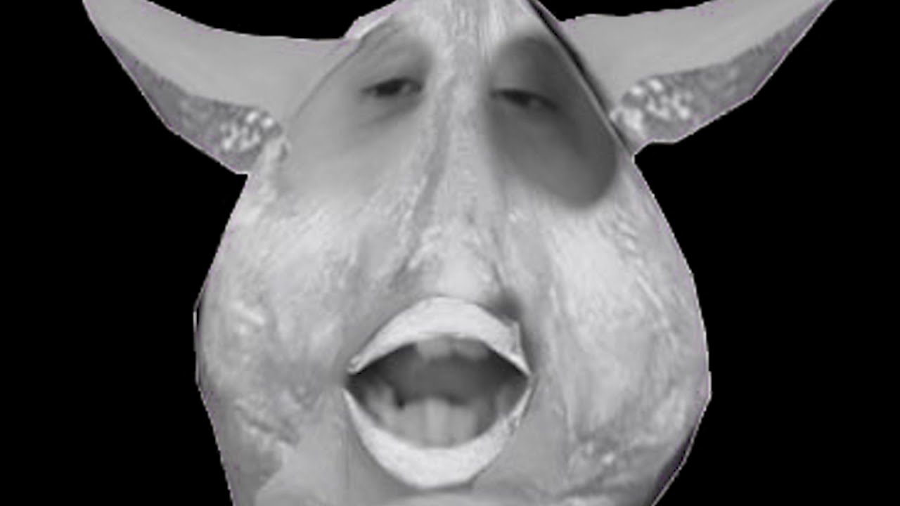 all hail mighty pig god tony - YouTube