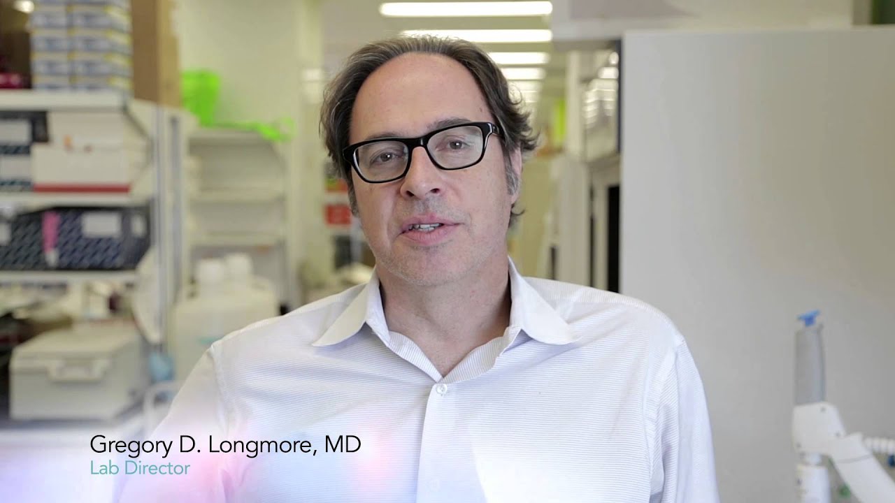 ICCE Institute Greg Longmore Lab - YouTube