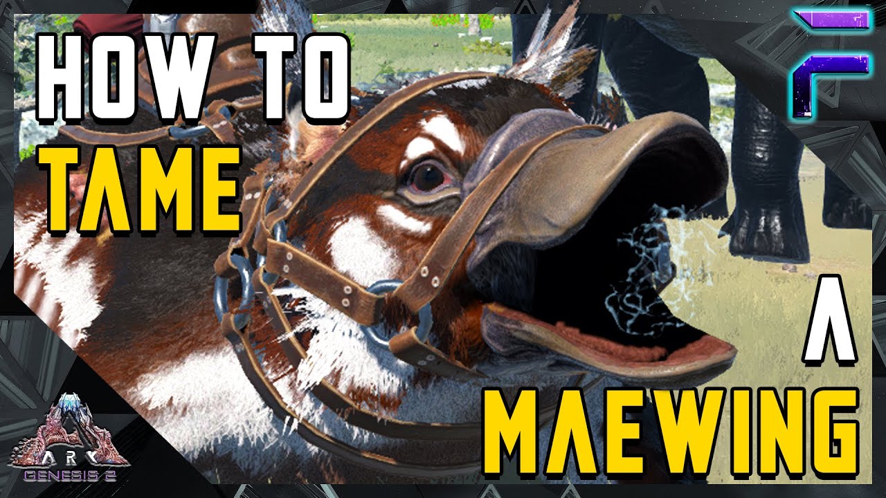 HOW TO TAME A MAEWING EASY! -Ark: Genesis Part 2 - YouTube