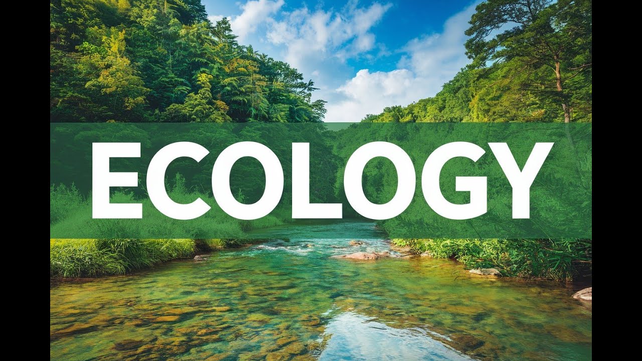understanding ecology: The key to nature balance| Biology tutorial # ...