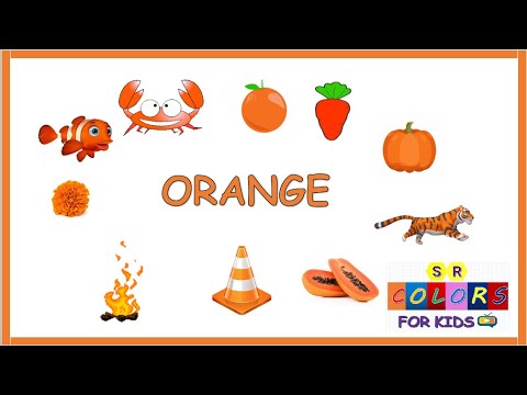 Orange | Orange Color | Color song - Orange | Orange objects | Orange ...
