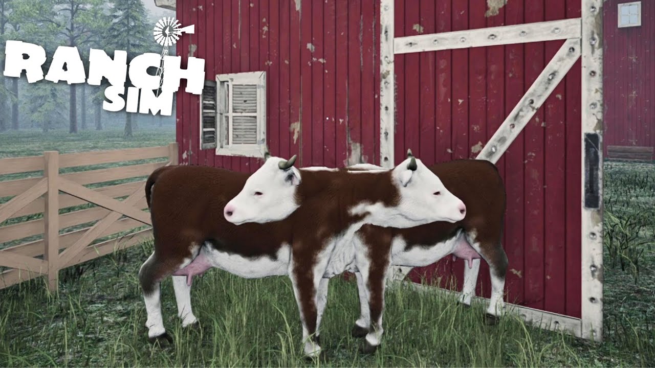 Cows are Amazing Starting Cheese Production | Ranch Simulator [E8 ...