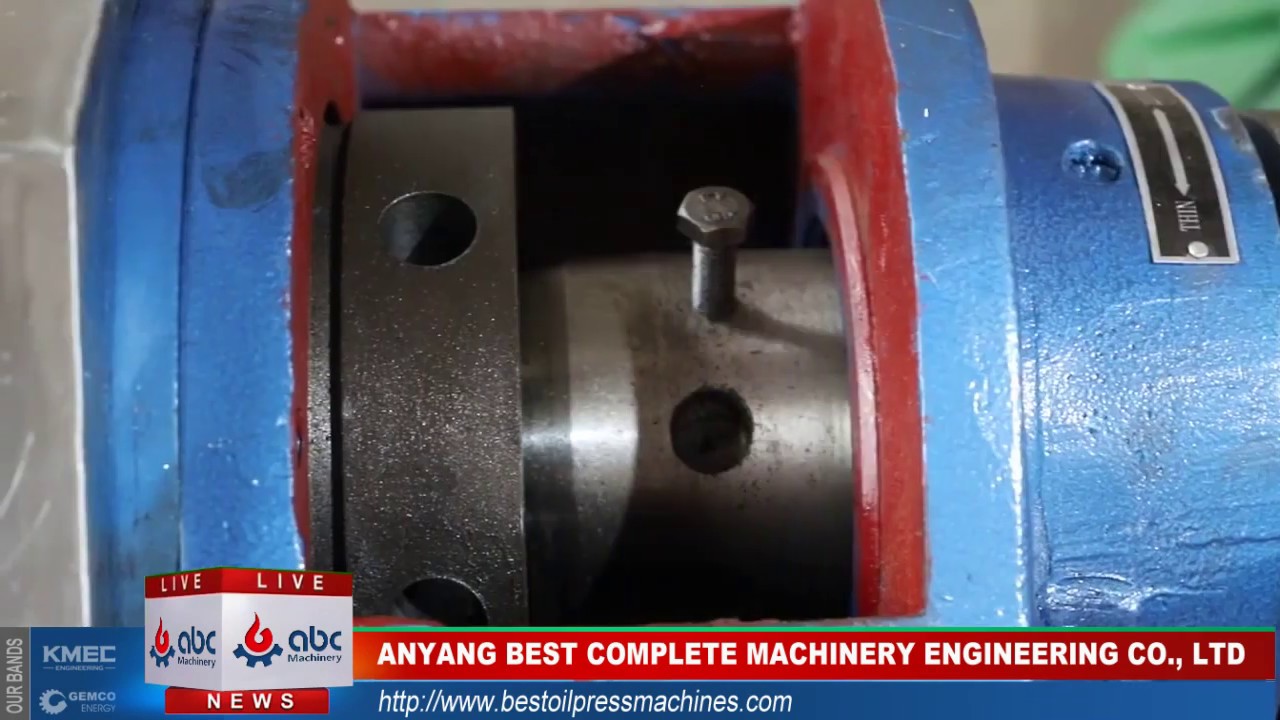 Small Screw Oil Press Machine | Screw Oil Expeller for Sales - YouTube