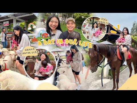 YUKA-CHAN BERMAIN SAMA BINATANG BUAS!! | vlog