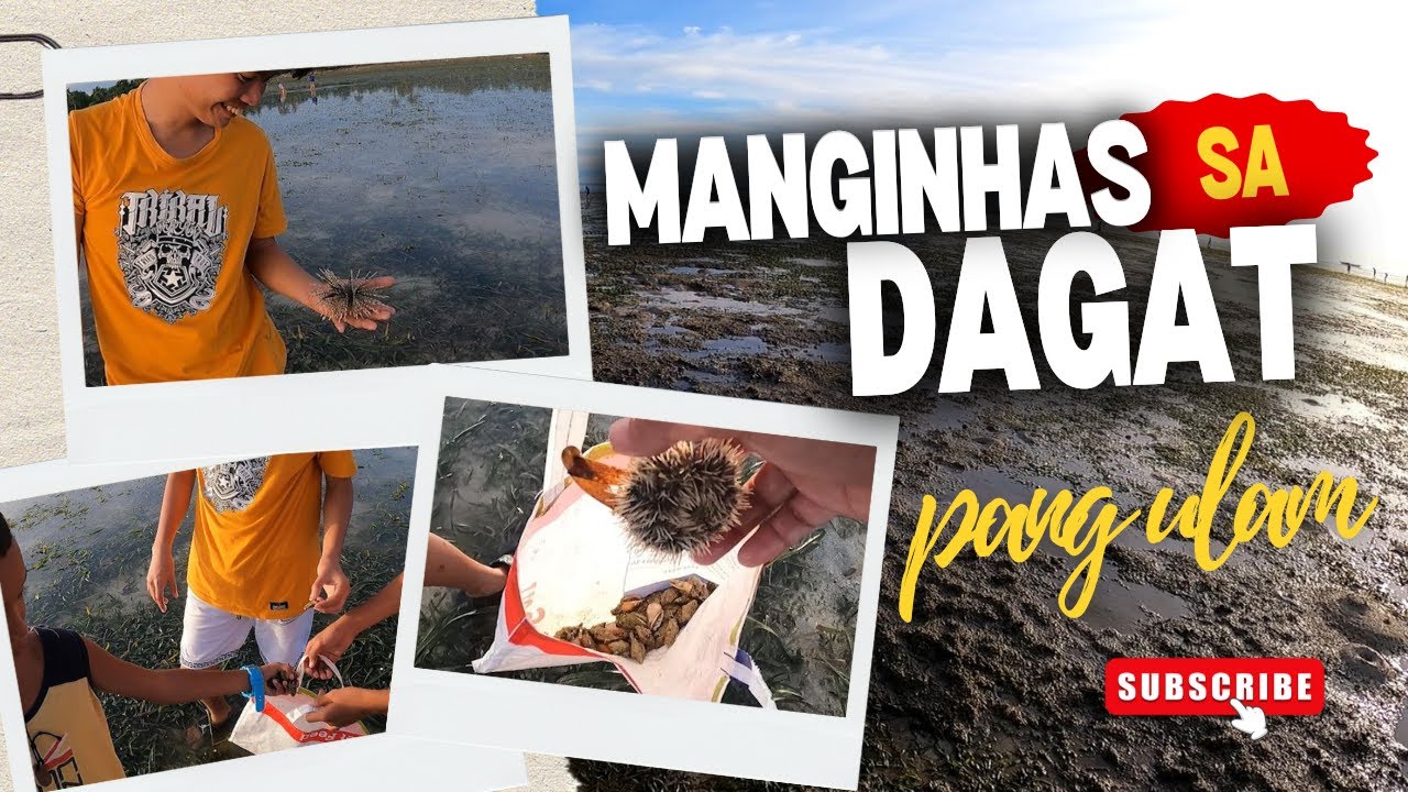 Fresh & Wild! Amazing Sea Food Hunting - Pang-Ulam Na! - YouTube