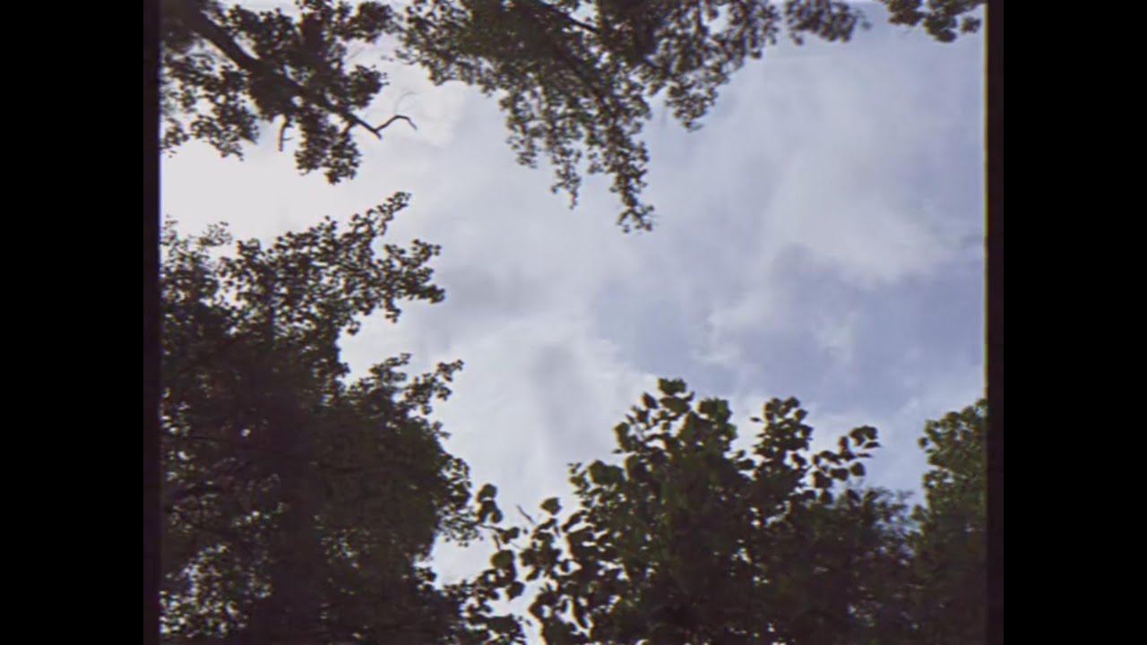 Santi Castro - Fall (Visualizer) - YouTube