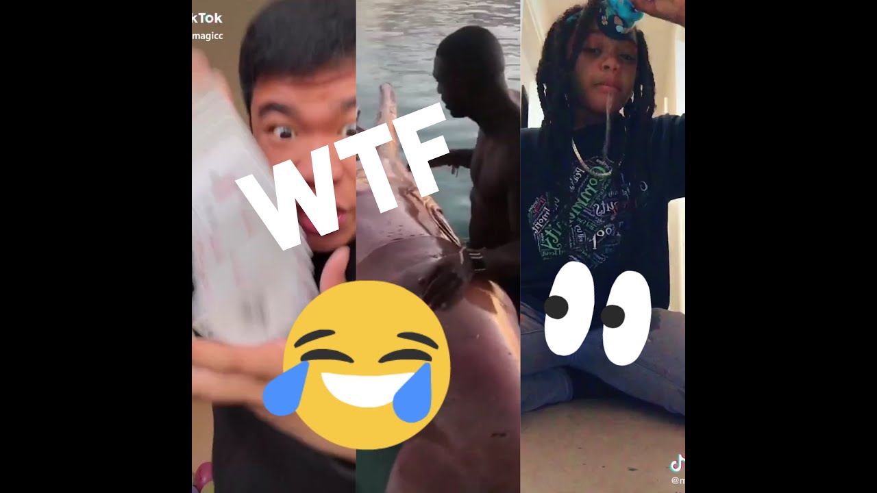 WTF Tik Tok Videos Comp 2 - YouTube