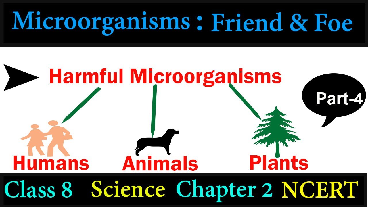 Harmful Microorganism : Microorganisms Friend and Foe || Class 8 ...