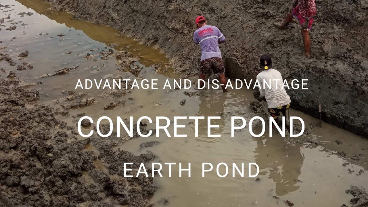 Advantage And Dis-Advantage | Concrete Pond And Earth Pond - YouTube