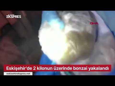Eskişehir'de 2 kilonun üzerinde bonzai ele geçirildi