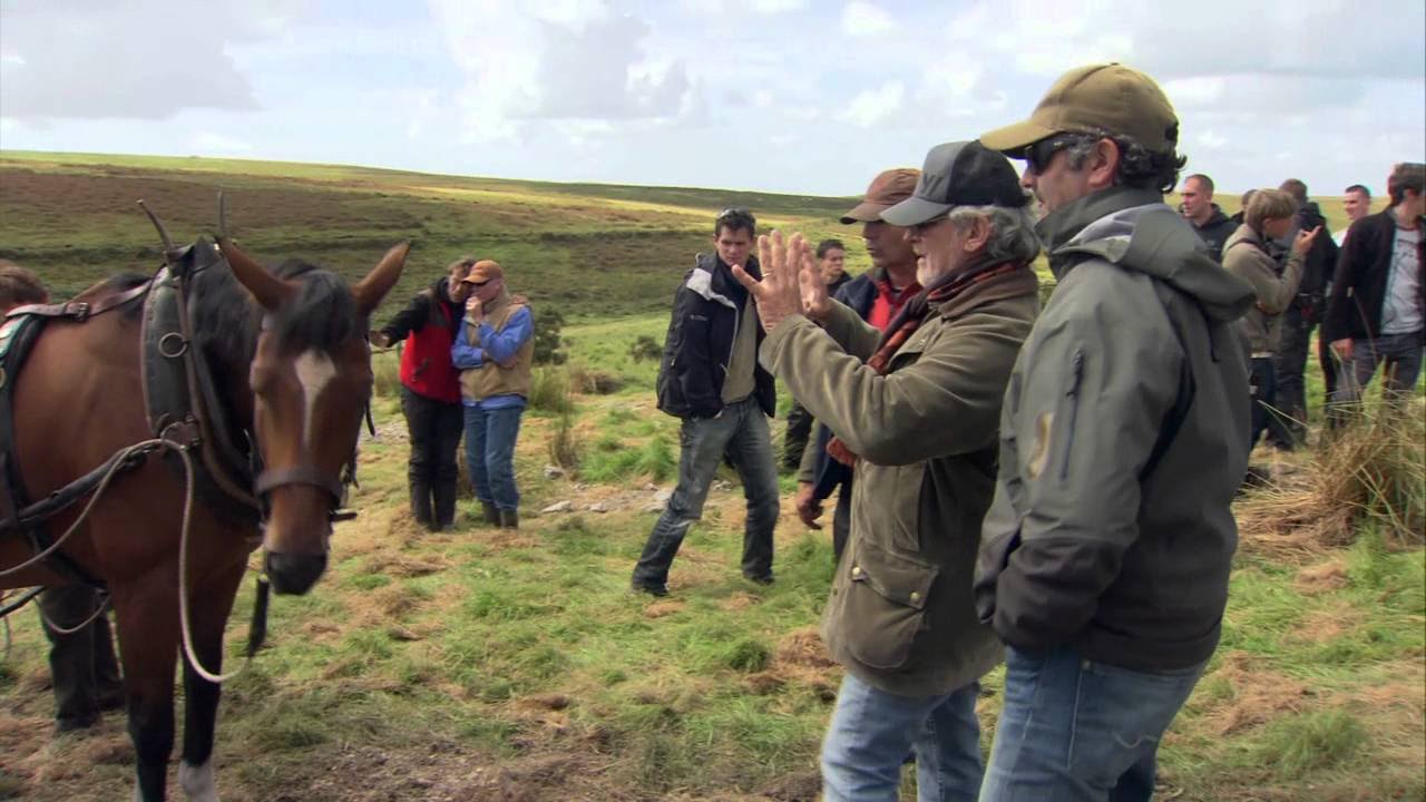 American Humane: War Horse - behind the scenes with Steven Spielberg ...