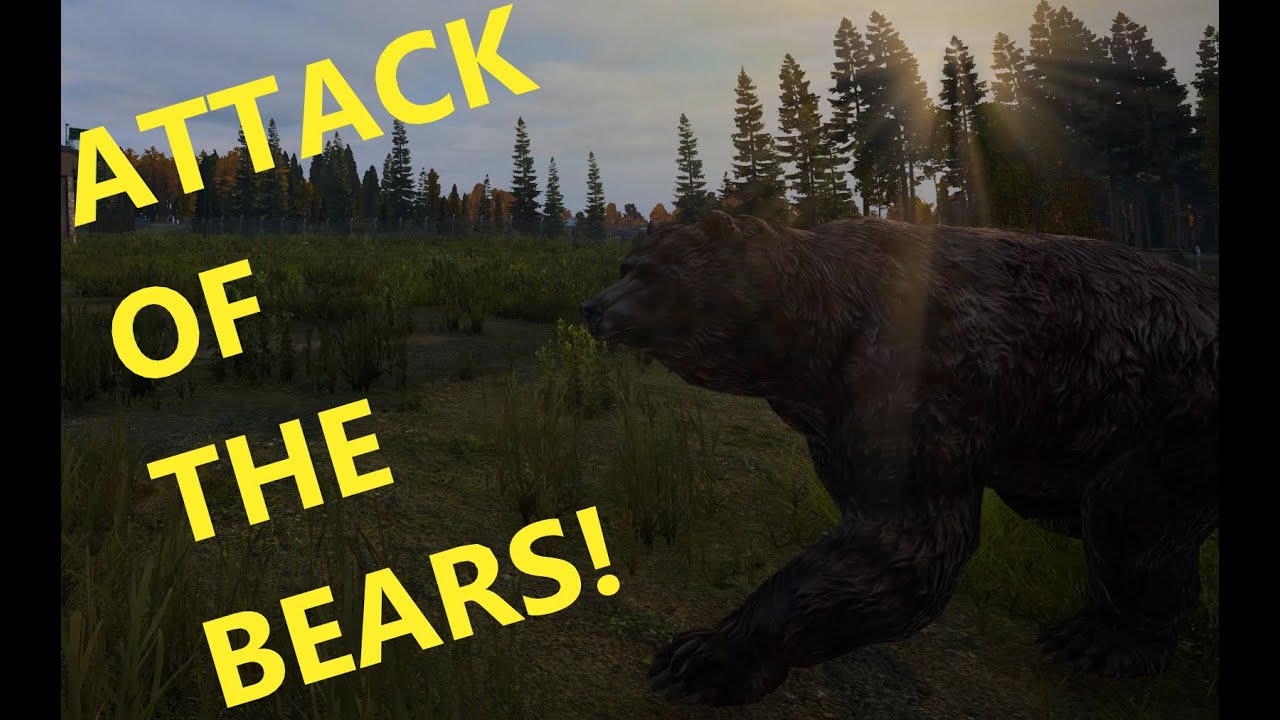 DayZ Wolves, Bears, and Toxic Zones - YouTube