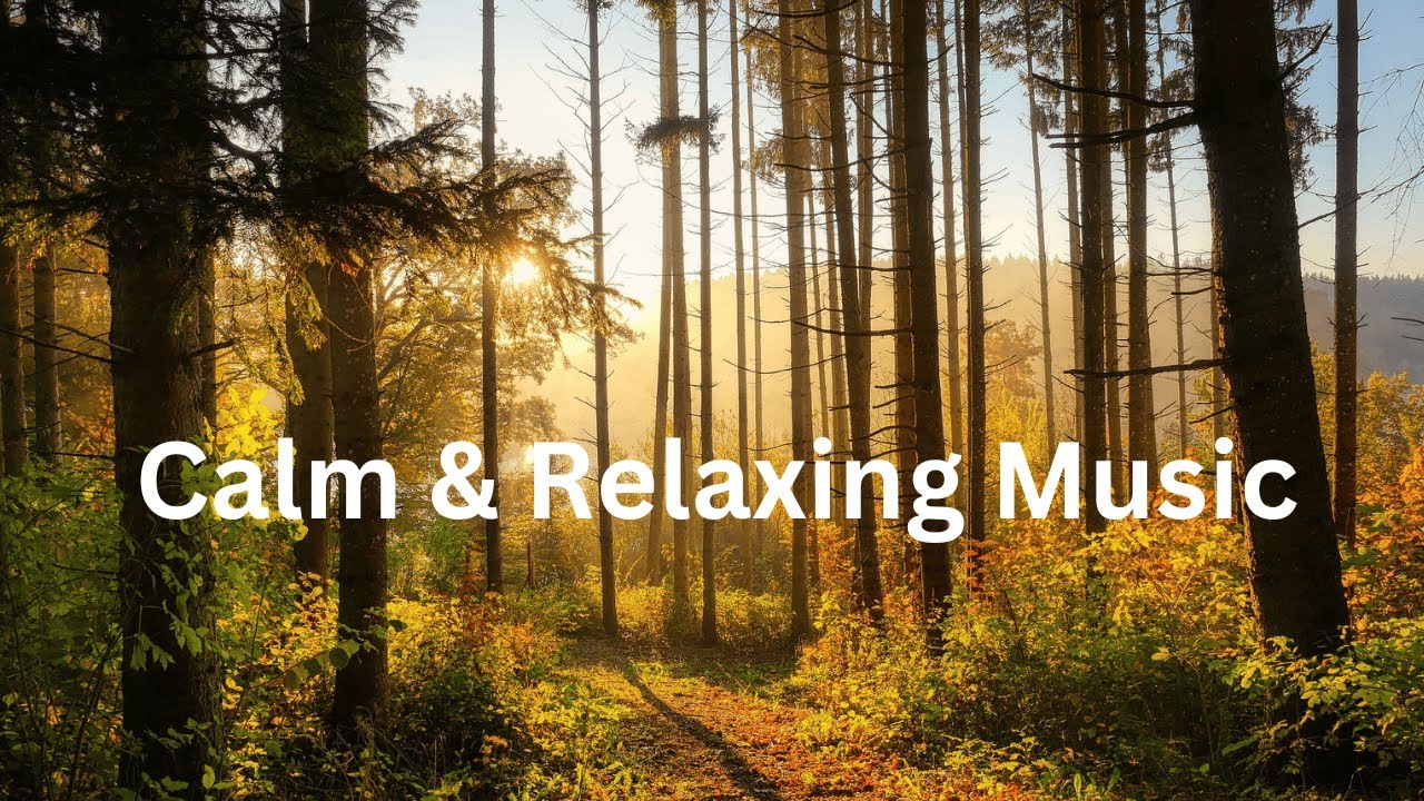 Calm & Relaxing Music | Harmonies of Healing | Soothing Background ...