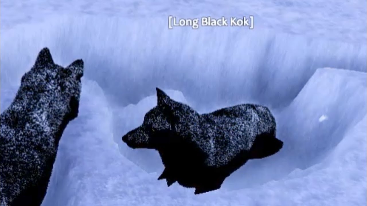 Pitch Black Wolf Parenting | WolfQuest AE - YouTube