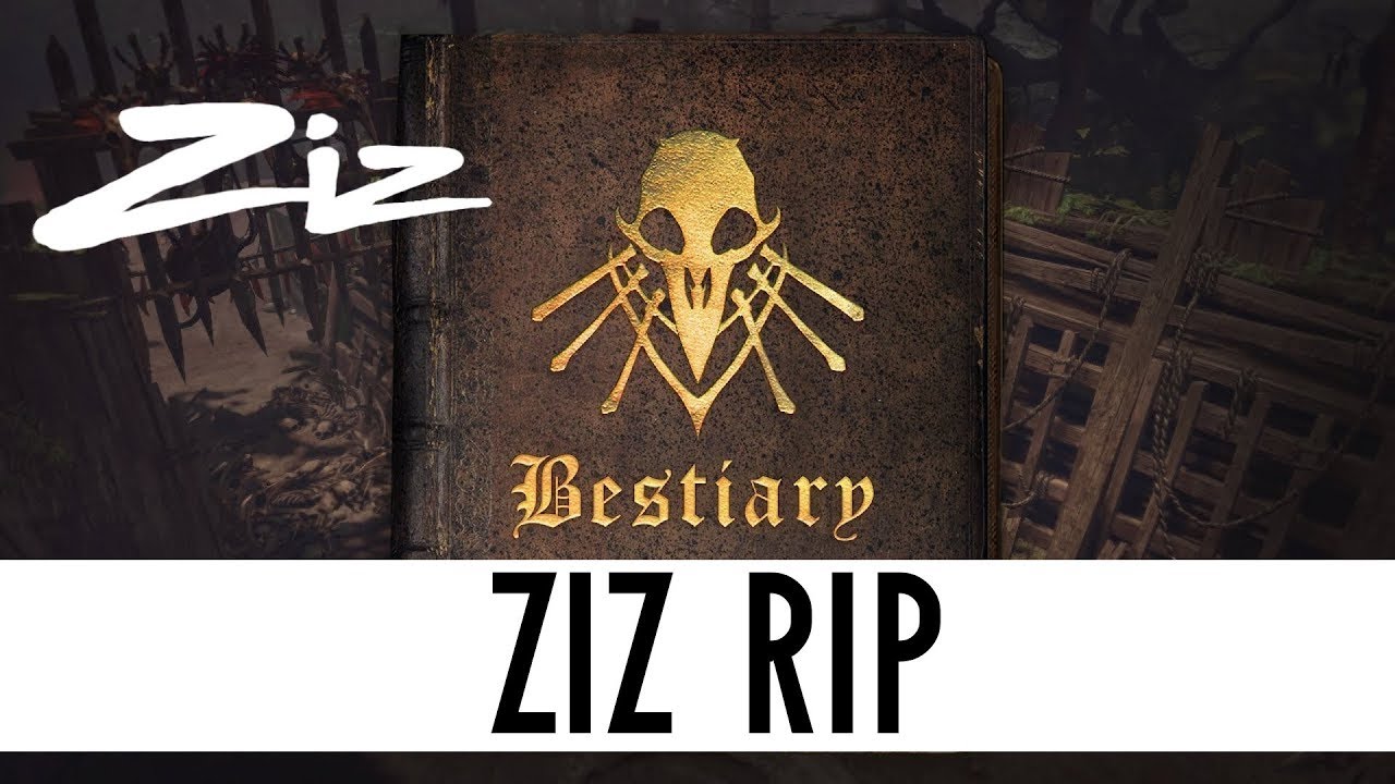 Path of Exile - Zizaran Flashback Timing Death! - YouTube