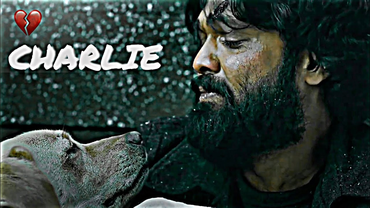 777 Charlie 🥺 sad edit ️ - YouTube